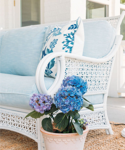 The Nantucket Collection – Society Social